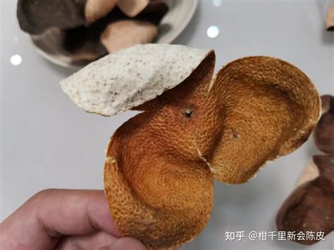 秋天已到，手把手教你制作陈皮的方法，牢牢记住这些步骤吧 知乎