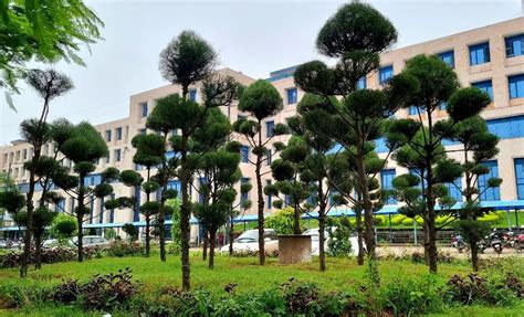 Aiims Bhopal 📸 Taha Jiruwala Aiimsbhopal