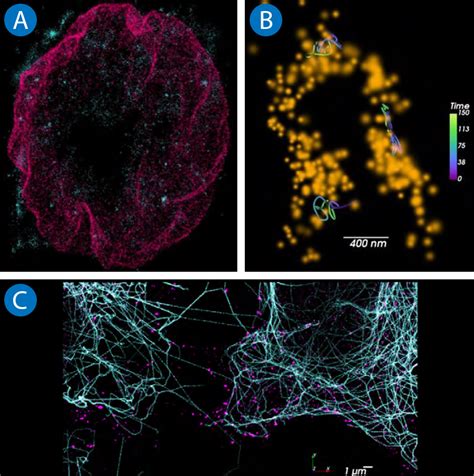 Application Note Single Molecule Localization Microscopy