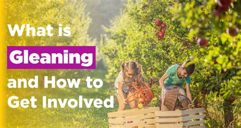 How Gleaning Fights Hunger One Initiative