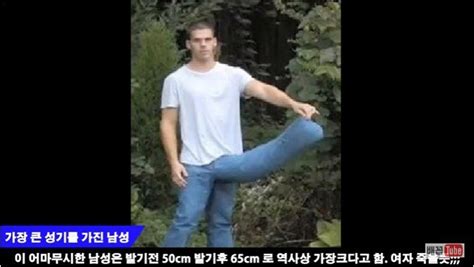 발기전 Cm 발기후 Cm 유머 이슈 정보 에펨코리아