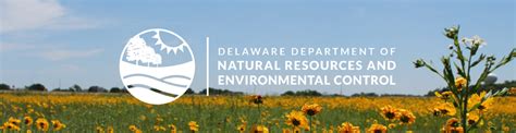 Dnrec Digital Newsletter May 2024