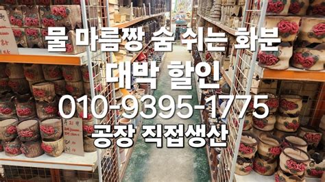 공장직접생산 물마름짱 숨쉬는화분 다육 다육화분 다육식물 화분분갈이흙 010 9395 1775 Youtube