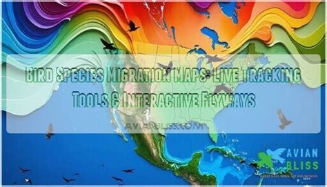 Bird Species Migration Maps Live Tracking Tools And Interactive Flyways