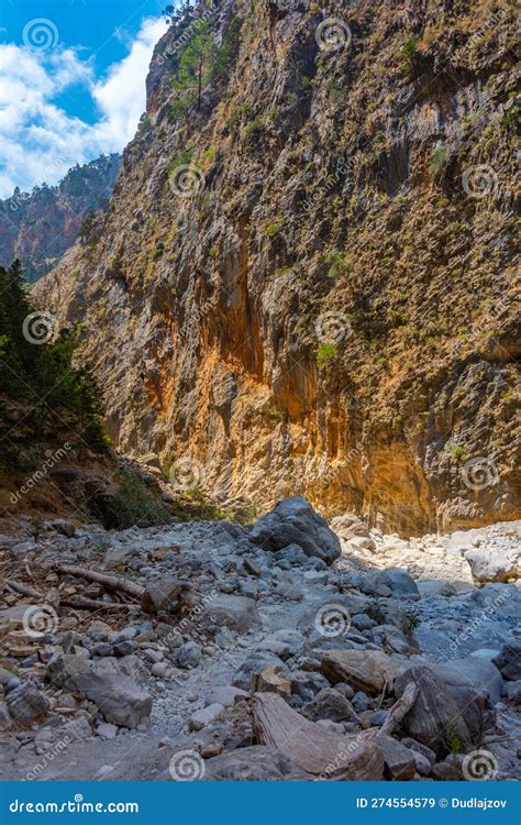 Samaria Gorge At Greek Island Crete Stock Image Image Of Gorge Wood