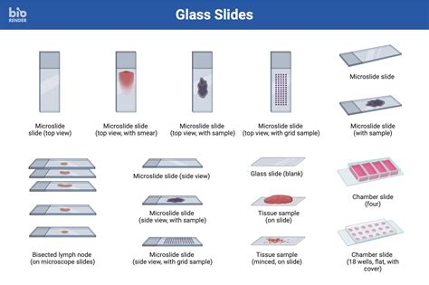 How To Make A Glass Slide At Odis Langley Blog How To Make A Glass Slide At Odis Langley Blog