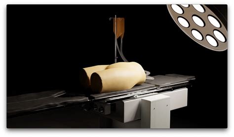 Ecmo Cannulation Simulator Advanced Circulatory Support Simulators