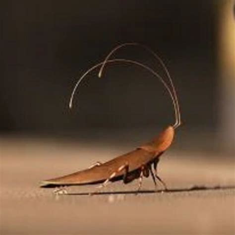 Hal Character Comic Vine