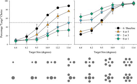 Target Size Estimation With Varying Flanker Counts From Experiment 2c
