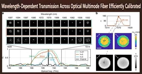 Wavelength Dependent Transmission Across Optical Multimode Fiber