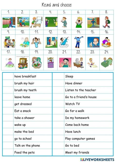 Read And Number Daily Routine Worksheet Daily Routine Worksheet