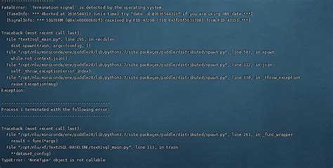 多卡训练报错 Issue PaddlePaddle Paddle GitHub