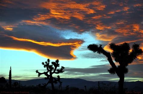 Python Twilight Rcloudporn