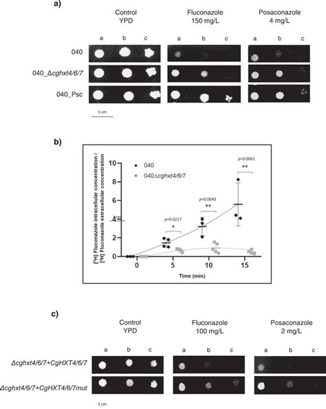 Cghxt467 Promotes Azole Susceptibility In C Glabrata 040 Clinical Download Scientific