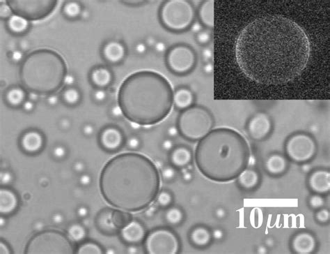 Engineering Asymmetric Vesicles Pnas