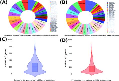 The Most Common Genes Across The Conditional Causal Networks And Download Scientific Diagram