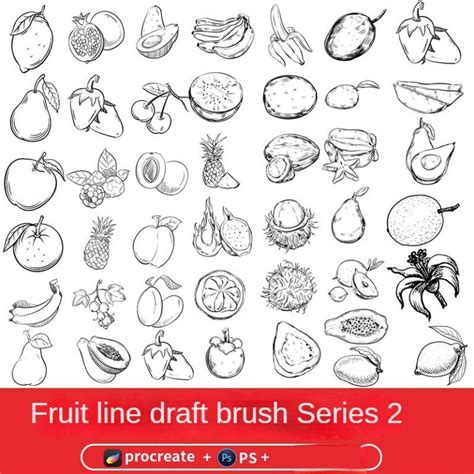 Procreate Brushes Fruit Line Drawing Watercolor Photoshop Brushes Apple