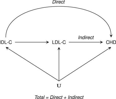Illustrating The Difference Between Total Direct And Indirect