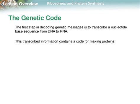 132 Ribosomes And Protein Synthesis Ppt Download