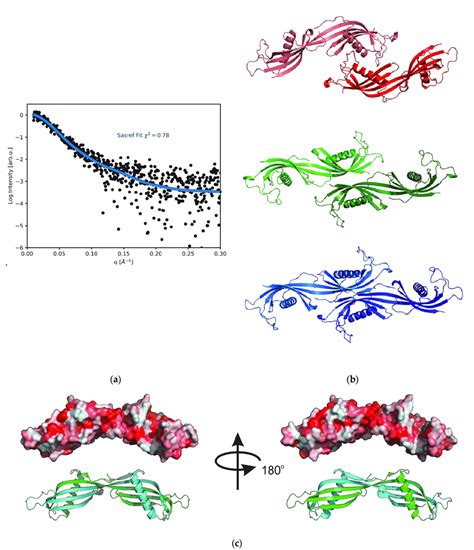 Model Of Tetrameric Hcc Obtained Via Rigid Body Modeling Using The Download Scientific Diagram