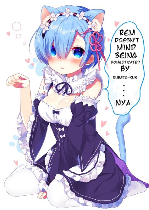 Neko Rem Is Perfect And Flawless And No Girl Can Ever Beat Her Rrezero