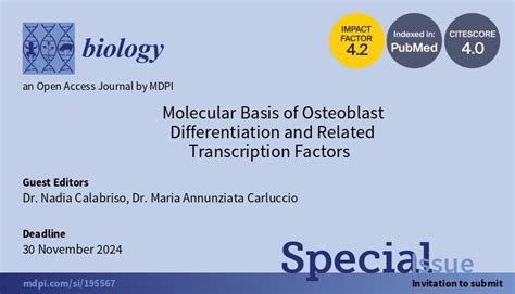Biology Mdpi On Linkedin Osteogenesis Osteoblast