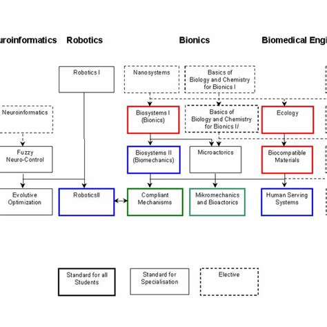 Master Studies Of Biomechatronics At Technische Universität Ilmenau