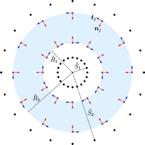 schematic of the boundary nodes on the boundaries and singularity