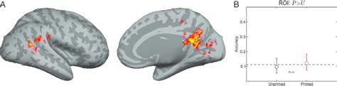 Difference Between Svm And Glm Results A Group Average Response