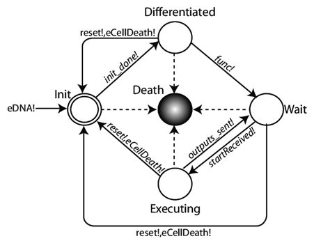 State Transistion Model Of The Behavior Of The Ecell Download