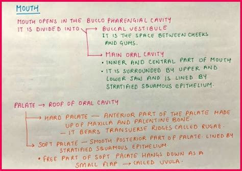 class 11 notes computer science central processing unit important short