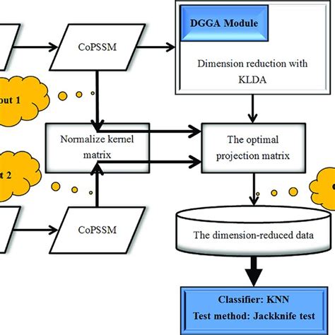 The Flowchart For Predicting Protein Subnuclear Location Download