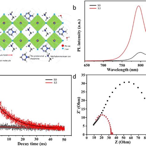Lattice Stability And Carrier Dynamic Properties Of The Perovskite