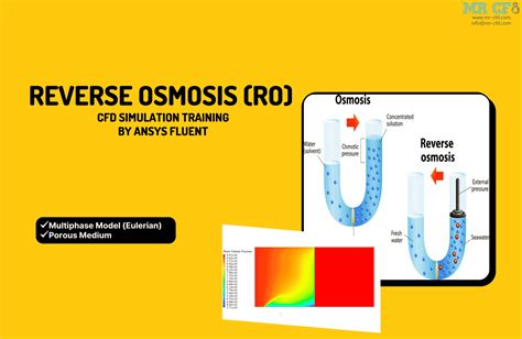 Reverse Osmosis Cfd Simulation Ansys Fluent Training
