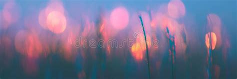 Soft Elongated Bokeh Texture With Subtle Color Gradient And Diffused Glow In A Serene Setting