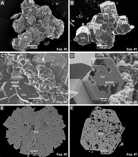 Run Products From Experiments With Pure Mgcl 2 Solutions A Sem Se Download Scientific Diagram