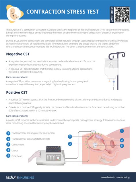 Nursing Cs Contraction Stress Test 01 Pdf Fetus Womens Health