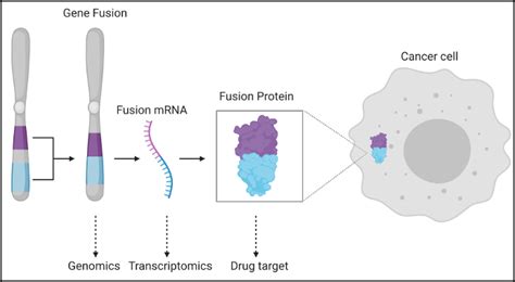 Exploring The Science Behind Neoantigen Discovery From Mutations To Proteins Seven Bridges