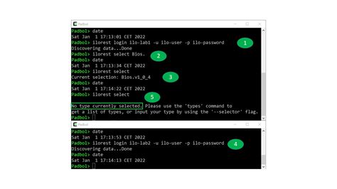 Massive Parallel Management With Ilorest On Linux Hpe Developer Portal