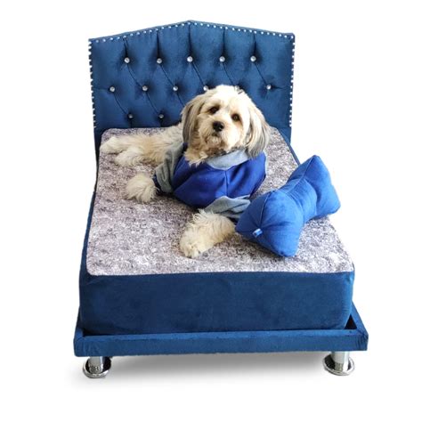 Cama Para Perro Premium Combo Completo Talla S