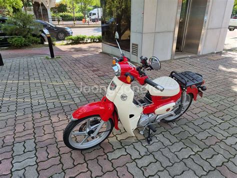 슈퍼커브110 2019 125cc 이하 중고나라 슈퍼커브110 2019 125cc 이하 중고나라