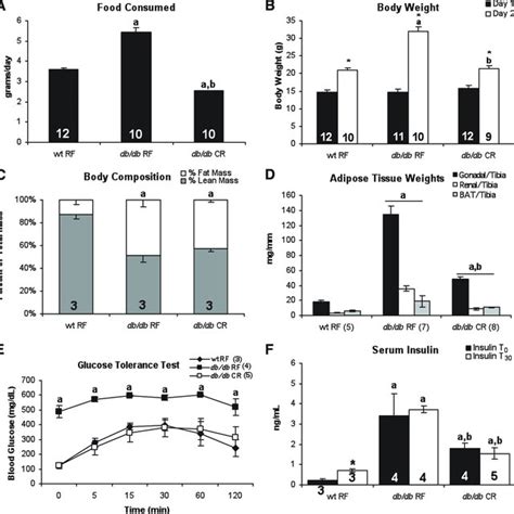 heart weights in caloric restricted ob ob and db db mice with leptin