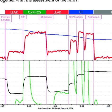 Example Of A Suit Protocol Pattern On Isolated Mitochondria O2 Download Scientific Diagram