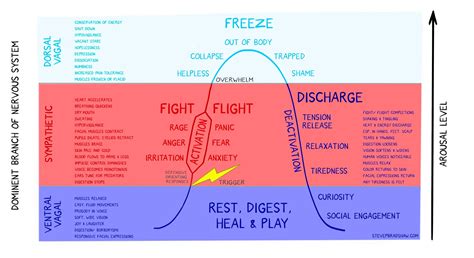 Somatic Therapy For Anger Management In Los Angeles California And Online — Beyond Psychology Center