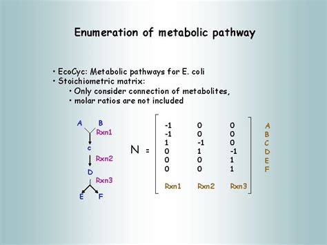 Is Metabolic Network Topology A Constraint For Operon