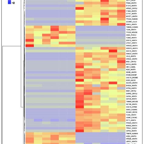 Heatmap Of Degs Between Colpate And Porate Species Selected As