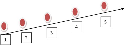 ball moving in given five consecutive frames download scientific diagram