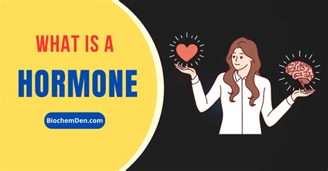 Insulin Structure Types Of Insulin Functions And Guide