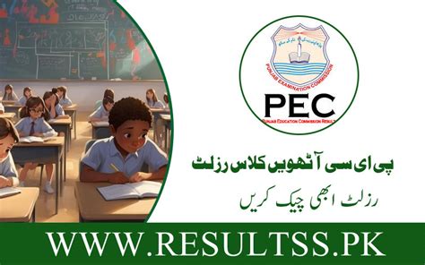 Pec 8th Class Result 2025 Punjab Check By Roll Number