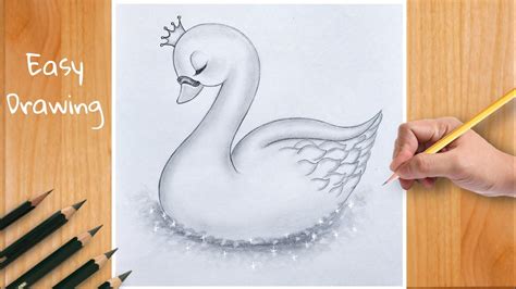 Swan Pencil Drawing
